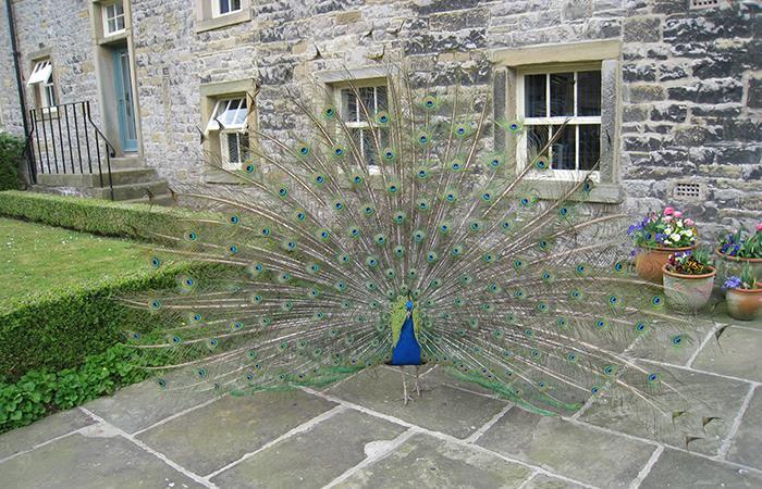 Jeremy Benn Associates offers group risk benefits to support staff ...